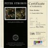 Certified Art Giclée™ | Peter Strobos